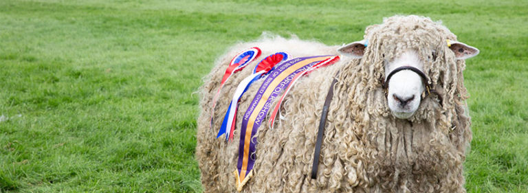 How to enter – Royal Norfolk Show – Business